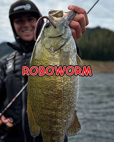 GSM Outdoors | Specializing in Innovative Outdoor Products